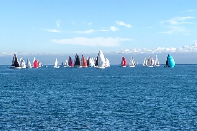 Half-Day Private French Riviera Tour from Nice - FAQ