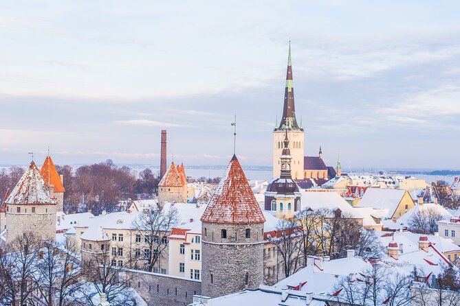 Half-Day Private Guided Sightseeing Tour of Tallinn - Introduction