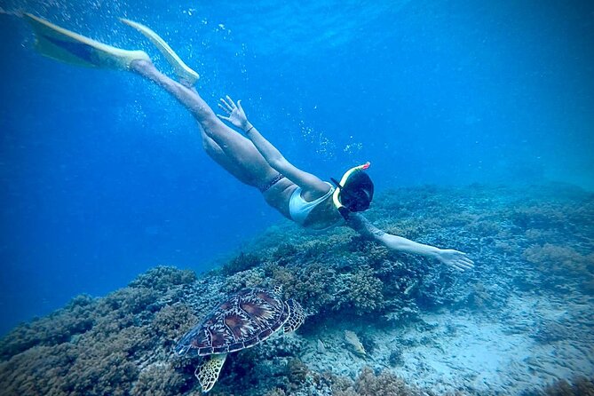 Half-Day Private Guided Snorkeling Turtles Underwater Statues - The Sum Up