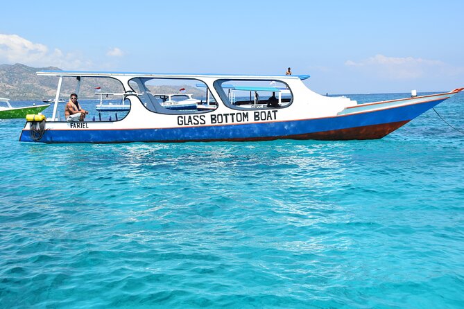 Half-Day Private Guided Snorkeling Turtles Underwater Statues - FAQs