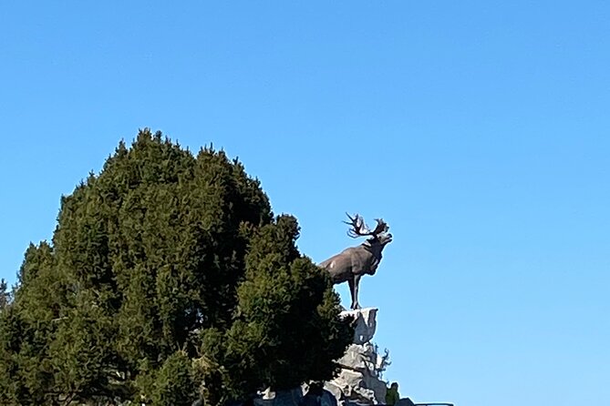 Half Day Private Guided Tour Battlefields of the Somme - Traveler Reviews and Recommendations