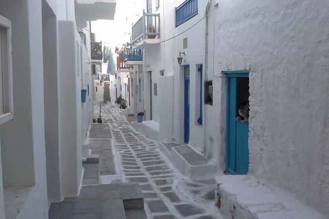 Half-Day Private Guided Tour in Mykonos - Customer Feedback
