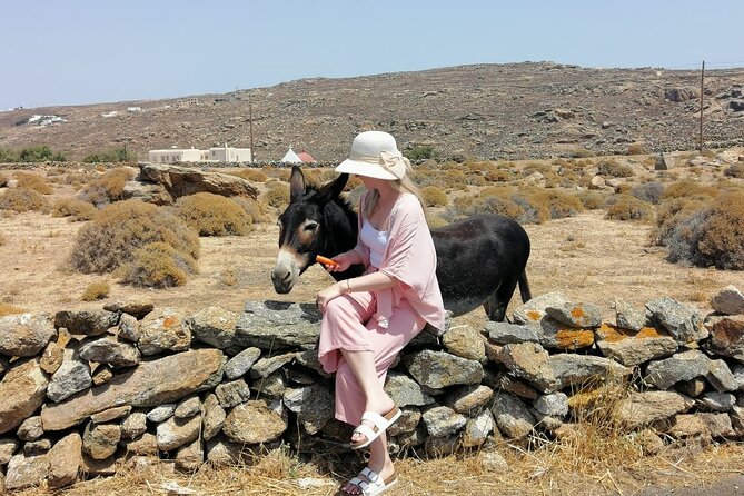 Half-Day Private Guided Tour in Mykonos up to 6 - Customize Your Itinerary