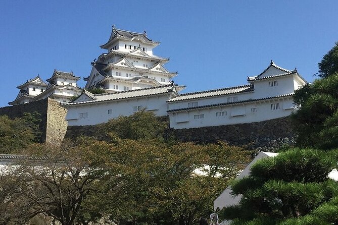 Half-Day Private Guided Tour of Himeji Castle - Tour Experience and Accessibility
