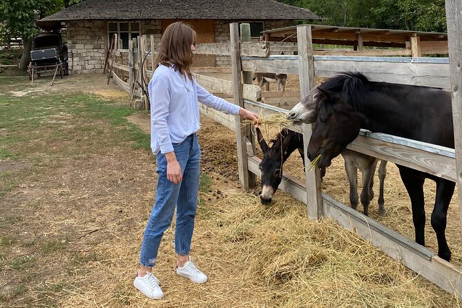Half-Day Private Guided Tour of Orheiul Vechi and a Farmhouse - What to Expect