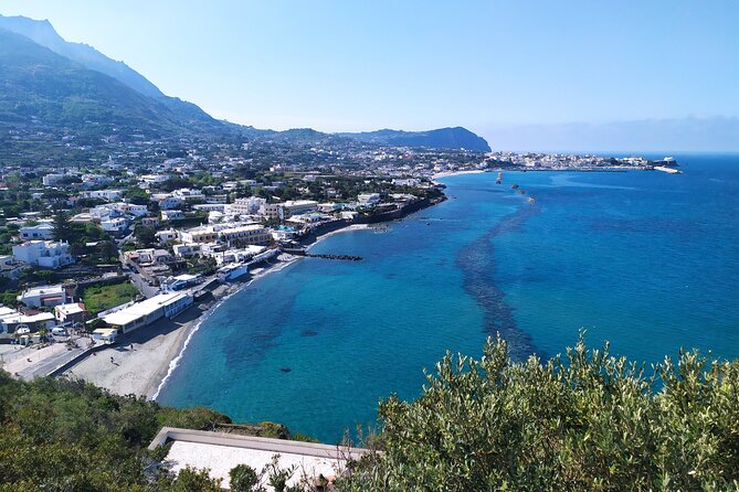 Half Day Private Guided Tour of the Island of Ischia - Exploring Local Towns and Cuisine