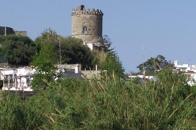 Half Day Private Guided Tour of the Island of Ischia - Guided Experience With Knowledgeable Local