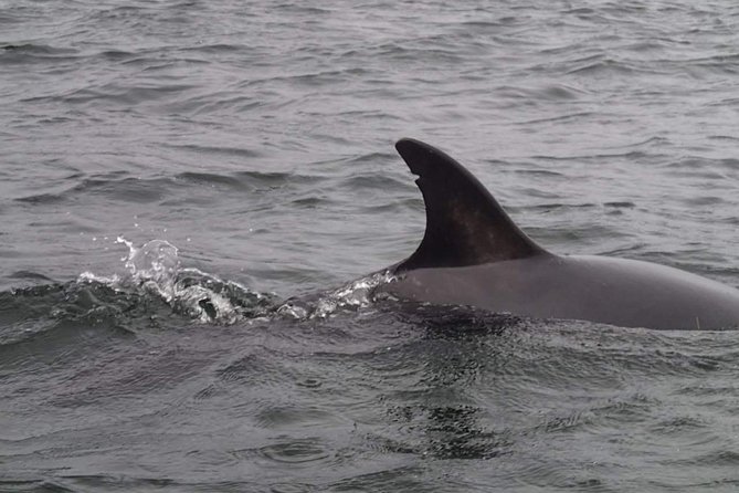 Half Day Private Hire - The Experience’s Pace and Flexibility