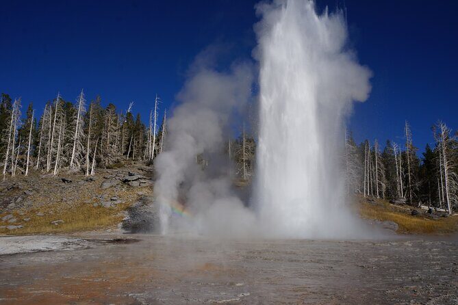 Half Day Private in Yellowstone Geyser Basin Tour - A Closer Look at the Yellowstone Geyser Basin Tour