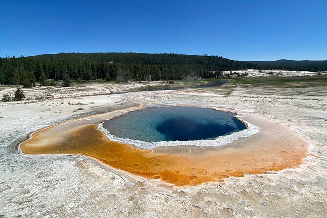 Half Day Private in Yellowstone Geyser Basin Tour - The Bottom Line: Is It Worth It?