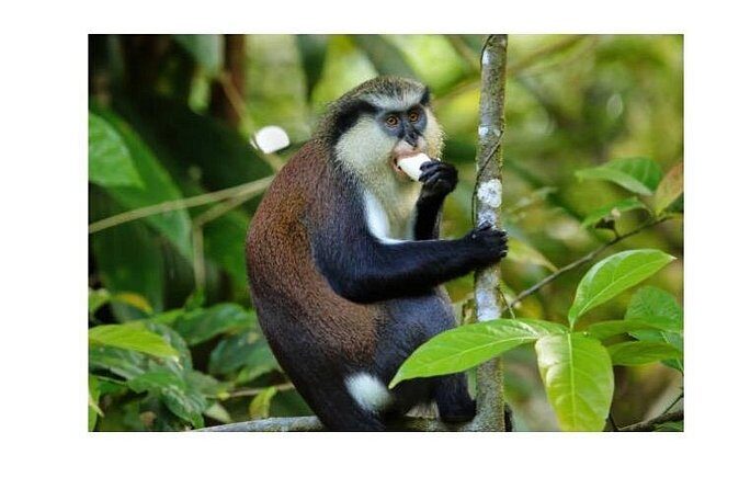 Half Day Private Island Adventure in Grenada - Final Thoughts: Is This Tour Right for You?