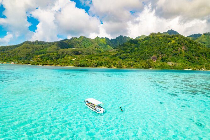 Half Day / Private Lagoon Adventure in Mo'orea - Key Points