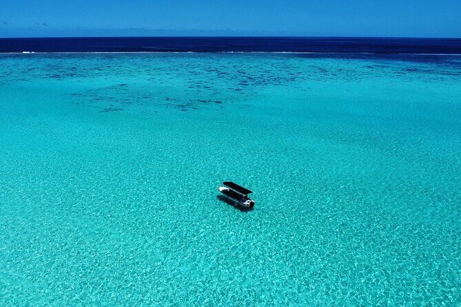 Half Day / Private Lagoon Adventure in Mo'orea - Why This Tour Stands Out
