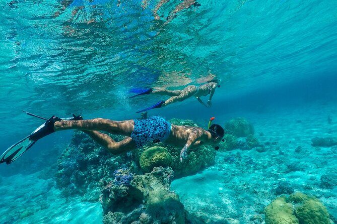 Half Day Private Lagoon Snorkeling Experience - An In-Depth Look at the Bora Bora Snorkeling Tour