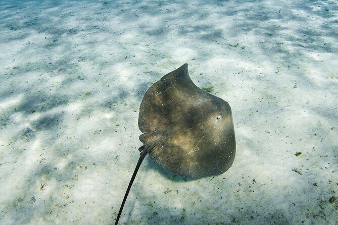 Half-Day Private Luxury Tour from Bora Bora - Key Points