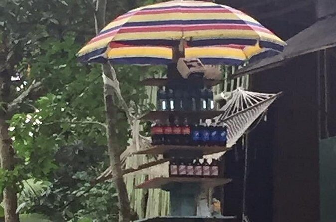 Half-Day Private Martha Brae Rafting Tour from Montego Bay - The Scenic and Cultural Experience