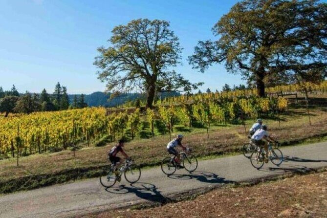 Half Day Private North Fork Bike Tour Thru Wine Cntry in Matituck - Who Will Enjoy This Tour?