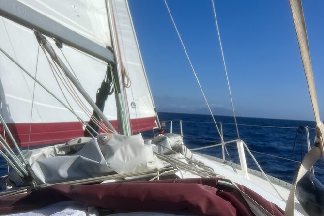 Half day Private Sailing cruise in Santorini island up to 6 pax - FAQ