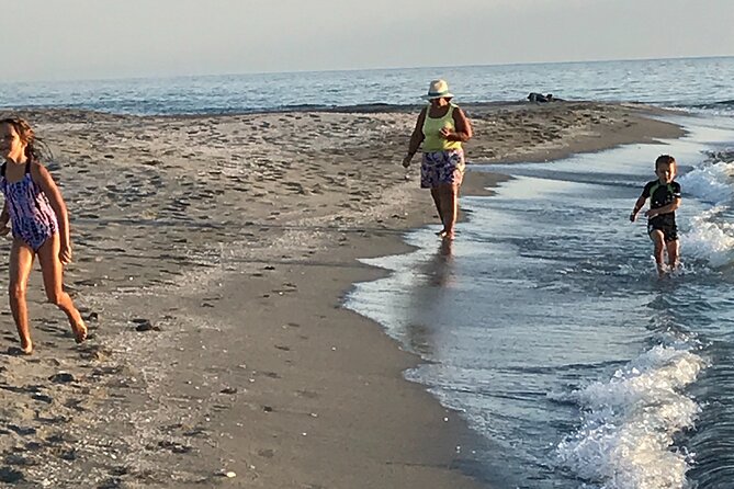 Half-Day Private Sarasota Charter Tour With Wildlife Watching - Inclusions and Amenities