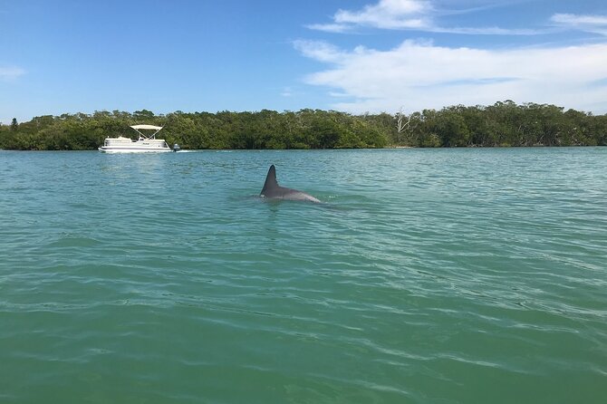Half-Day Private Sarasota Charter Tour With Wildlife Watching - Customer Reviews and Experiences