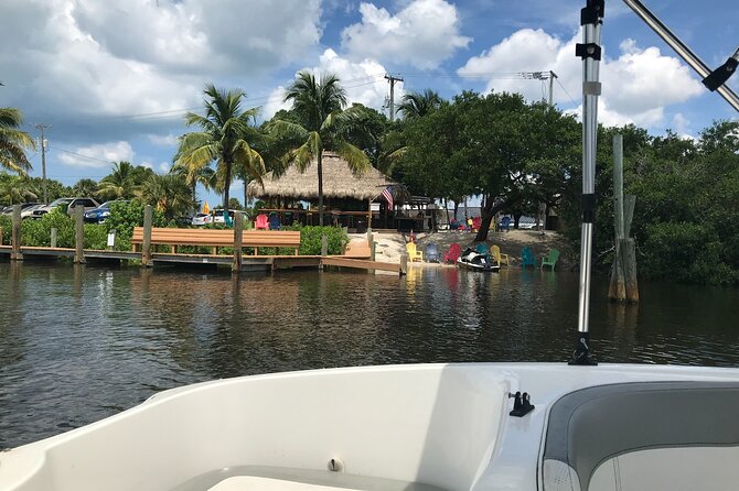 Half-Day Private Sarasota Charter Tour With Wildlife Watching - Customizing Your Private Tour