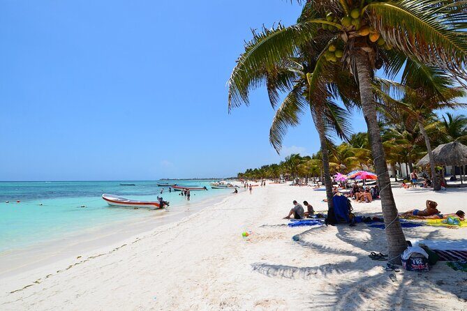Half Day Private Snorkeling with Turtles and Majestic Cenotes - Key Points