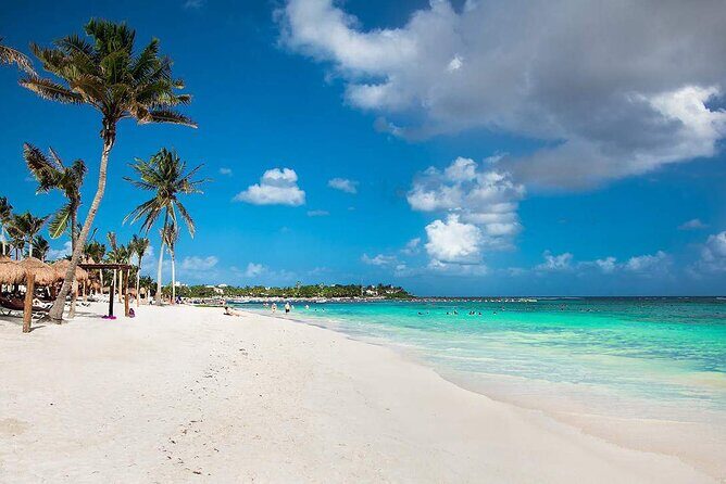 Half Day Private Snorkeling with Turtles and Majestic Cenotes - Practical Tips for a Smooth Day