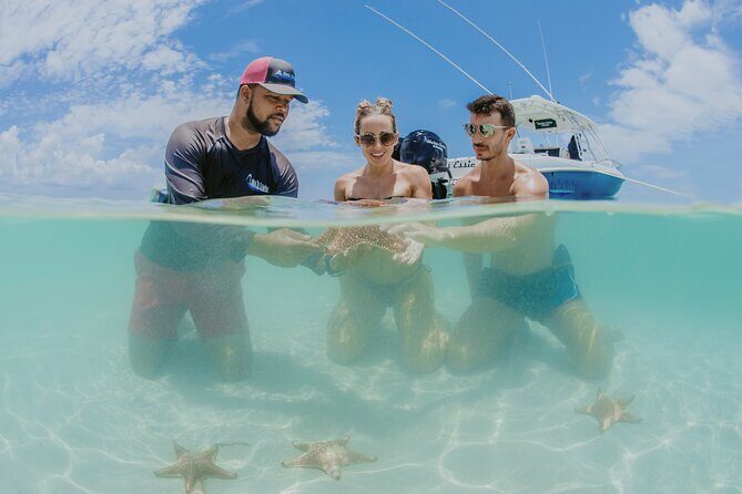 Half-Day Private Stingray City Charter - Grand Cayman - BTC - Who Should Consider This Tour?