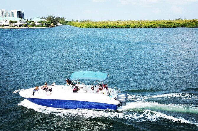 Half-Day Private Stingray City Charter in Cayman Islands - Final Thoughts