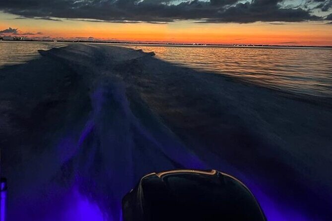 Half-Day Private Stingray City Charter in Cayman Islands - Frequently Asked Questions