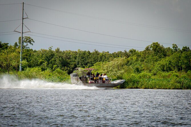 Half Day Private Swamp Experience in Louisiana - Exploring the Louisiana Bayou: What to Expect