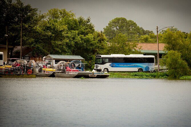 Half Day Private Swamp Experience in Louisiana - The Sum Up: Is It Worth It?