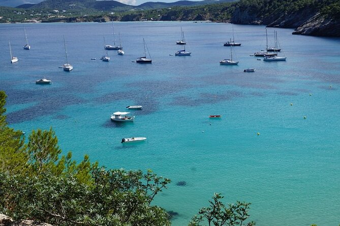 Half-Day Private Swimming Cruise along the Athenian Riviera - Final Thoughts