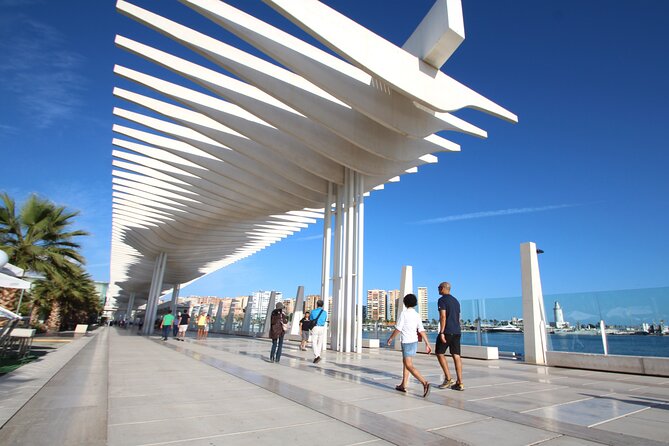 Half-Day Private Taxi Tour to Malaga Historic Center - Tour Accessibility