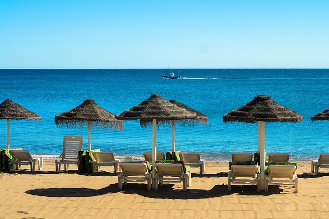 Half-Day Private Taxi Tour to Malaga Historic Center - Exploring the Malaga Historic Center