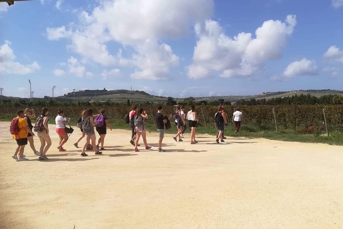 Half Day Private Tour Around Malta - Practical Considerations