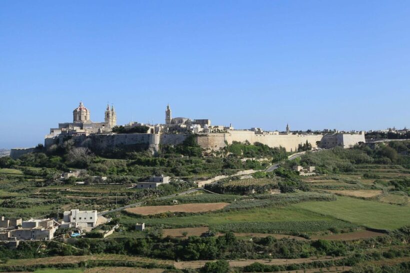 Half Day Private Tour around the Island in Malta - Who Should Consider This Tour?