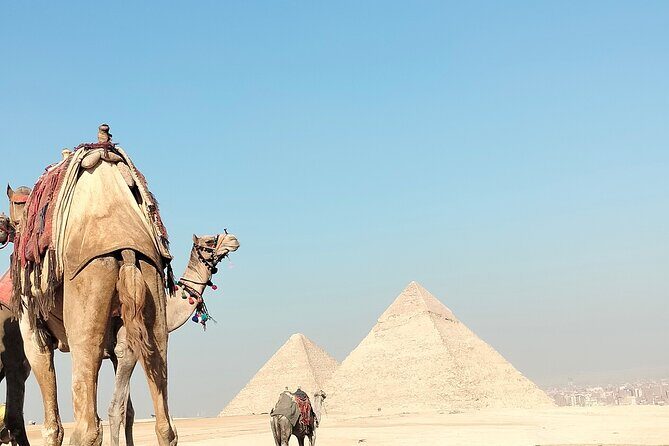 Half day Private Tour Giza pyramids the Sphinx and Camel Ride - Key Points