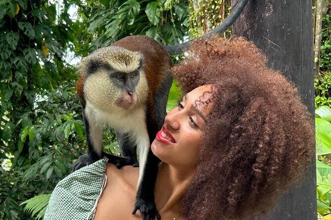 Half Day Private Tour in Grenada - Key Points