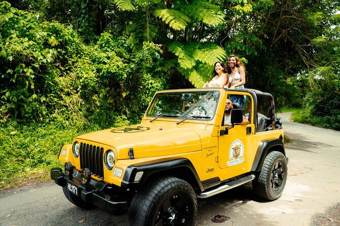 Half Day Private Tour in St. Lucia Jeep Wrangler - Practical Tips