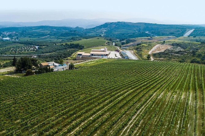 Half-Day Private Tour in Two Wineries and Archanes from Heraklion - The Experience from the Traveler’s Perspective