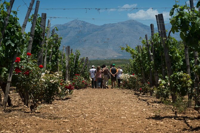 Half-Day Private Tour in Two Wineries and Archanes from Heraklion - Practical Tips for Travelers