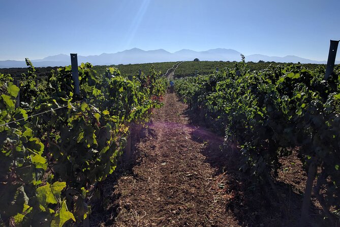 Half-Day Private Tour in Two Wineries and Archanes from Heraklion - The Sum Up