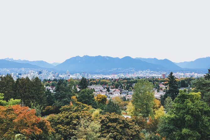Half Day Private Tour In Vancouver With A Local - Why this tour is a smart choice