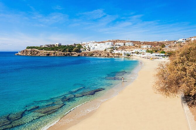 Half Day Private Tour Island With a Local in Mykonos - Highlights of the Private Tour Experience