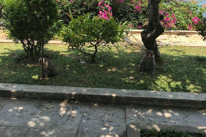HALF DAY PRivate Tour Marble Mountain and Linh Ung Pagoda from DA NANG - Key Points