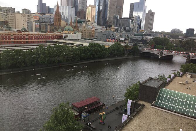 Half Day Private Tour of Melbourne City with Local guide - Why This Tour Is Worth Considering