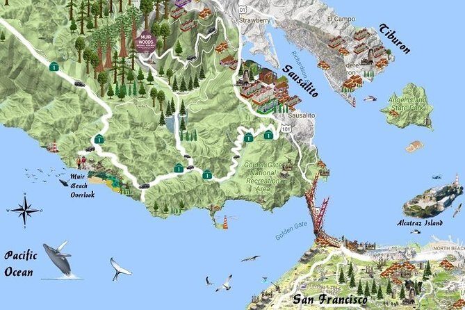 Half-Day Private Tour of Muir Woods & Sausalito from San Francisco - The Value of a Private Guided Tour