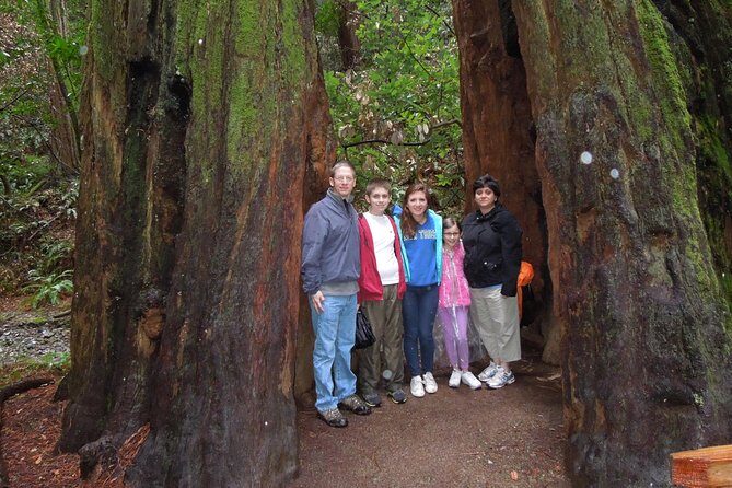 Half-Day Private Tour of Muir Woods & Sausalito from San Francisco - Duration and Flexibility