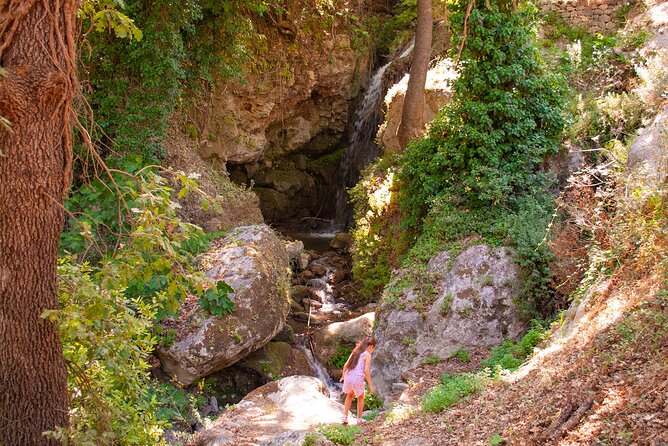 Half-Day Private Tour & Picnic in Real Cretan Countryside Retreat - What Makes This Tour Stand Out